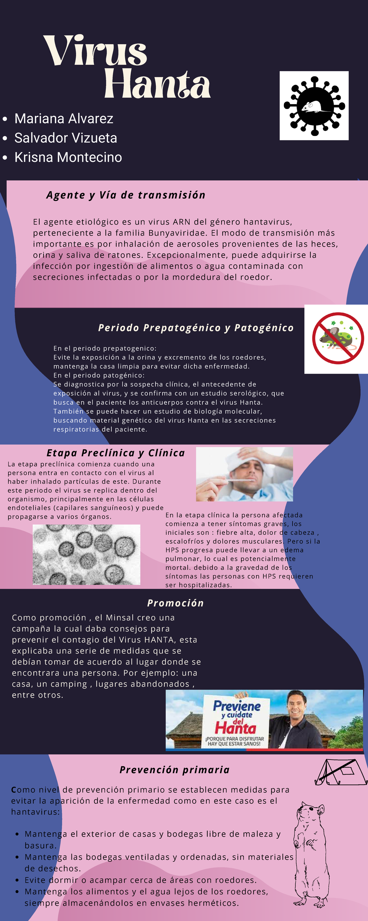 Infografia hanta - Virus Hanta El agente etiológico es un virus ARN del ...
