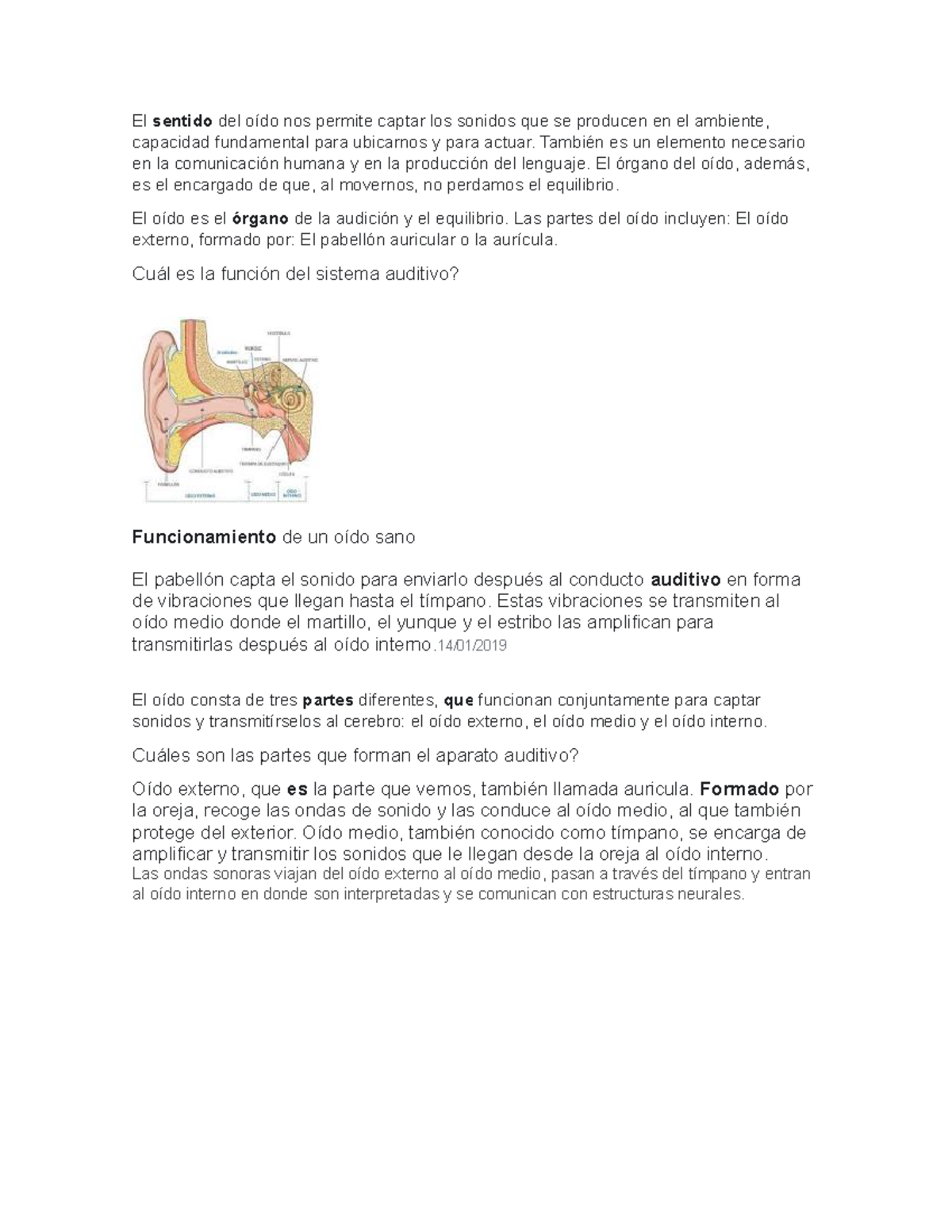 Sentido de la observacion - El sentido del oído nos permite captar los ...