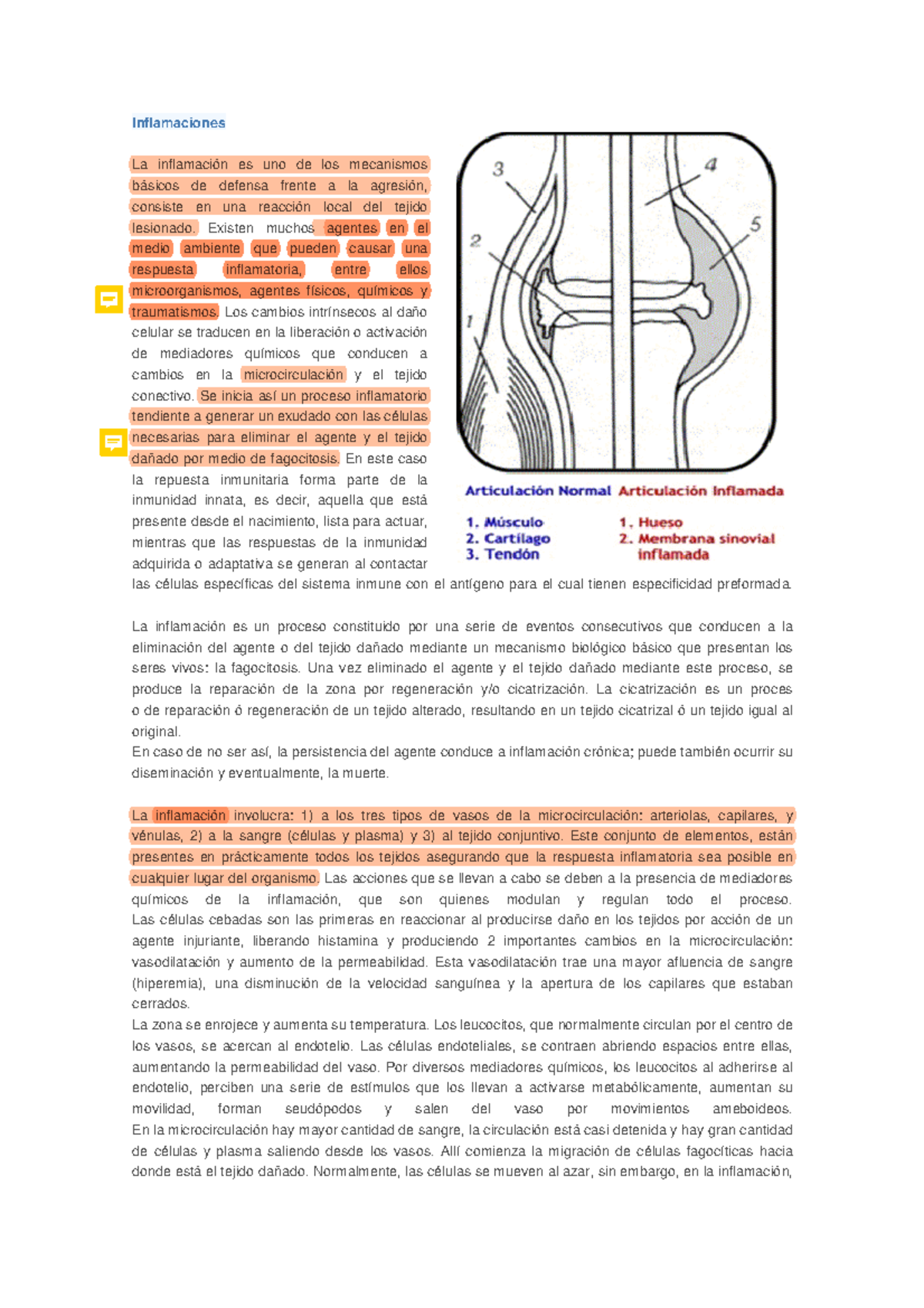 91-proceso-inflamatorio - Warning: Popup annotation has a missing or invalid parent annotation ...