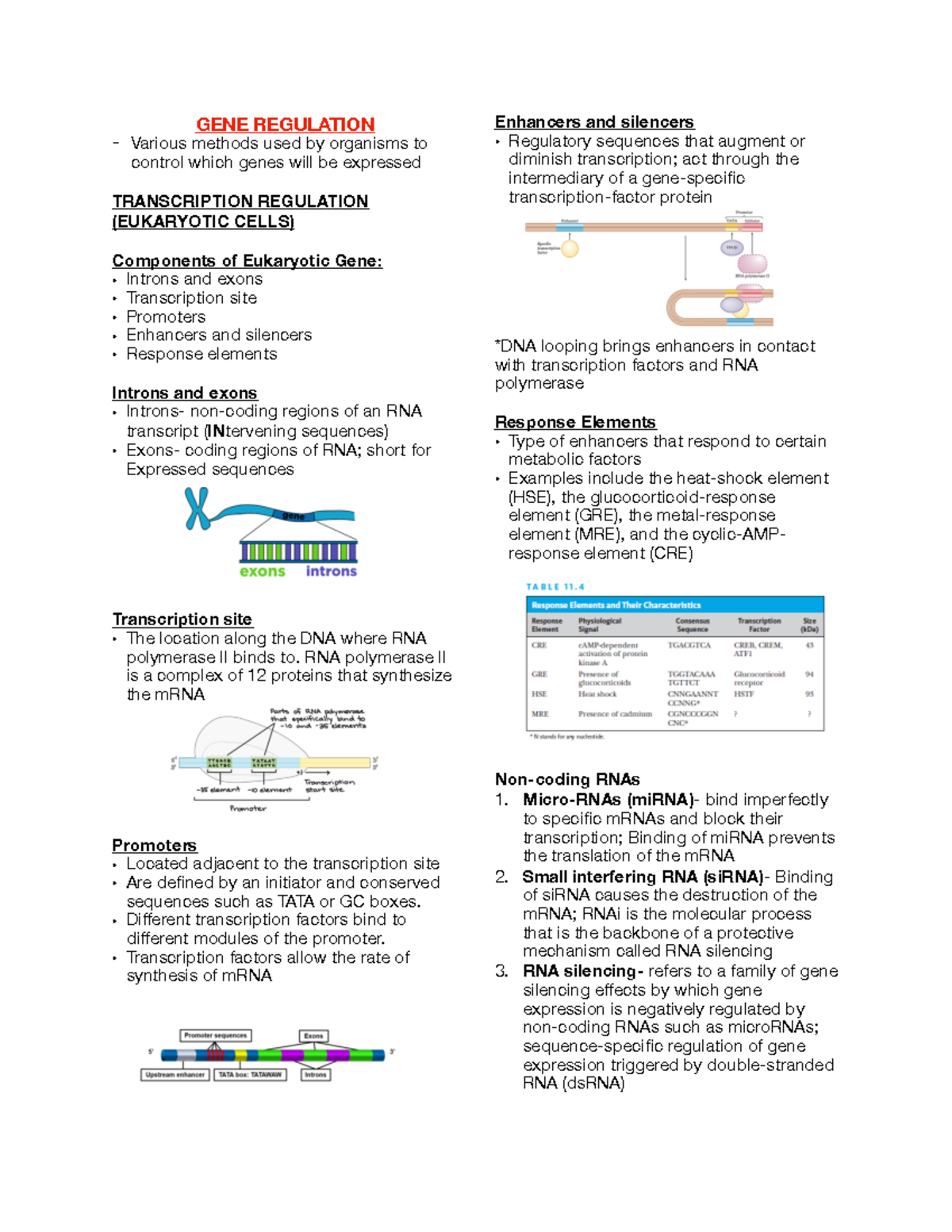 1 GENE Regulation - GENE REGULATION - Various methods used by organisms ...