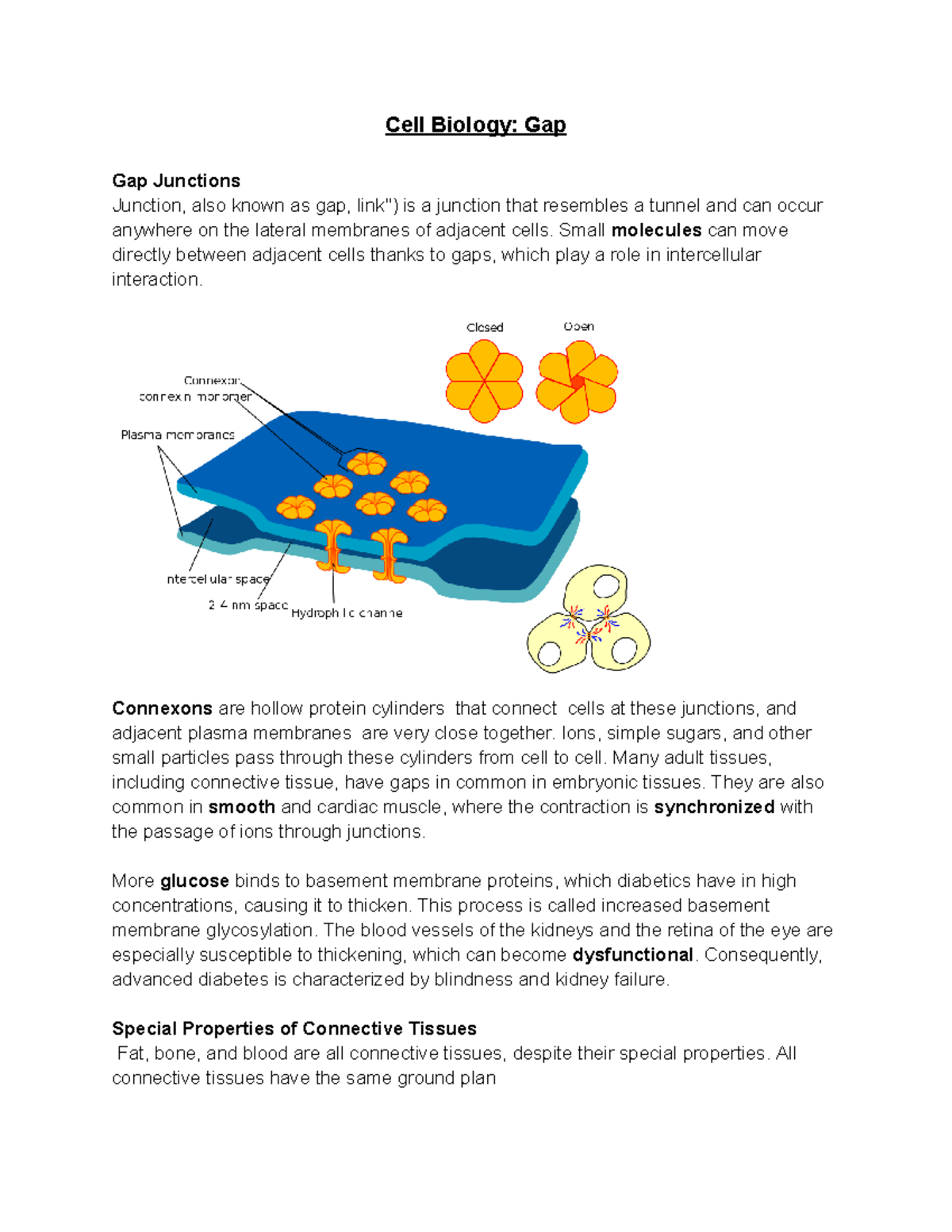 Cell Biology Gap - Cell Biology: Gap Gap Junctions Junction, also known ...