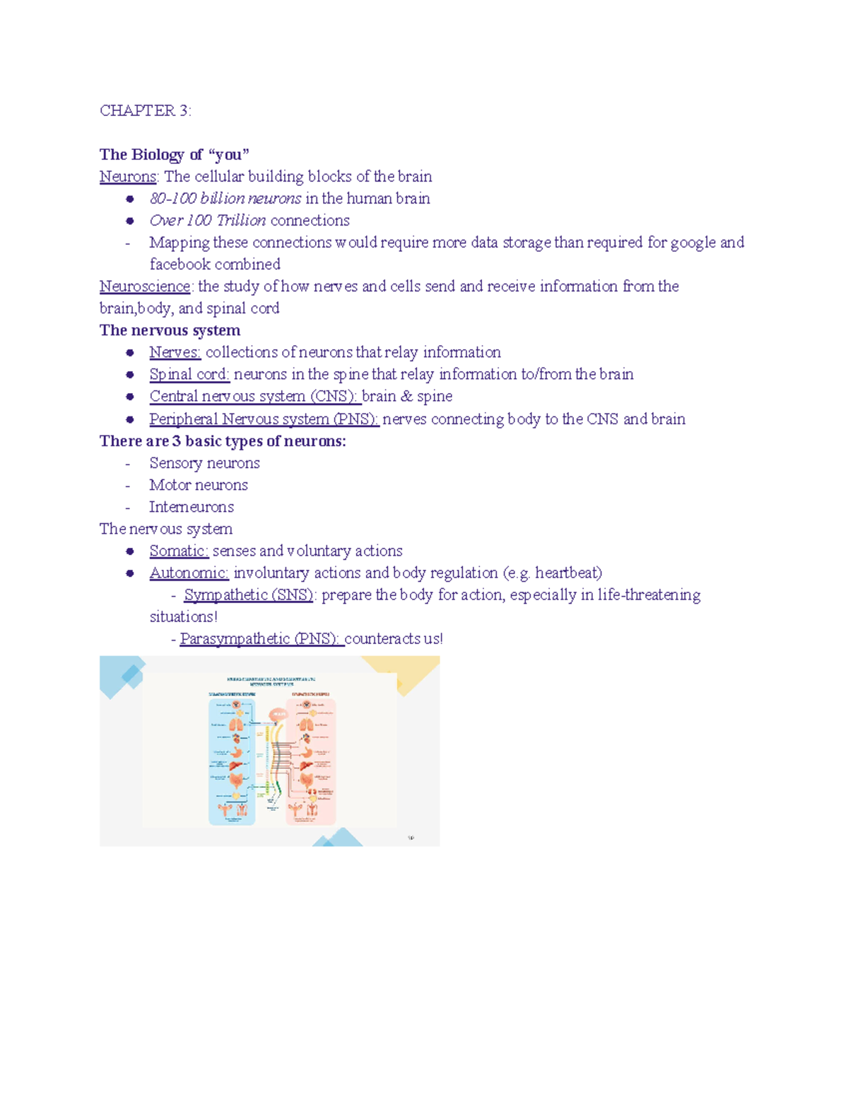 Chapter 3 The brain,body,and mind - CHAPTER 3: The Biology of “you ...