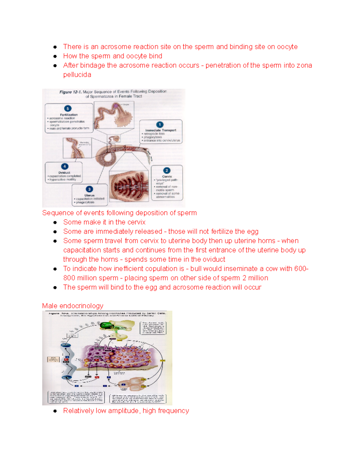 ANSC 3122 Exam 3 Study Guide 6 - There is an acrosome reaction site on ...