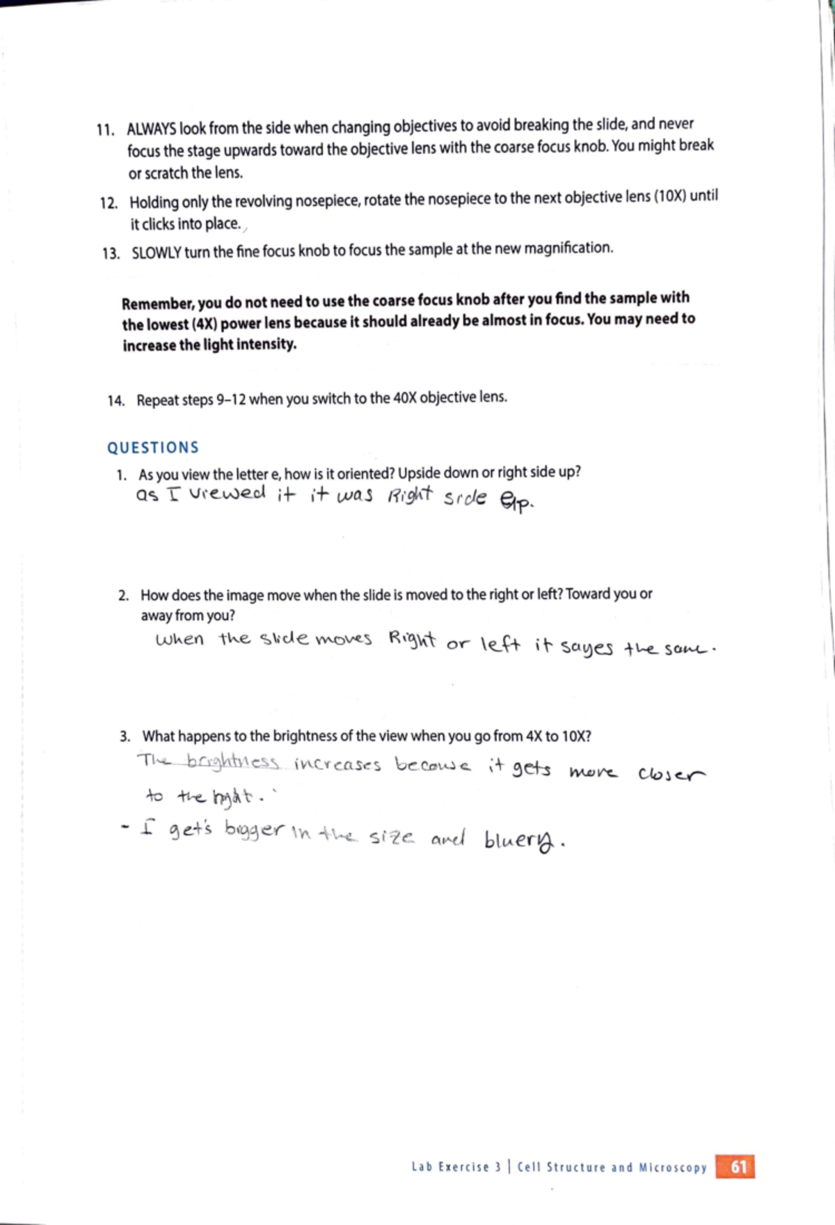 BIOL L 190 lab3 exercise - l l. ALWAYS look from the side when changing objectives to avoid ...