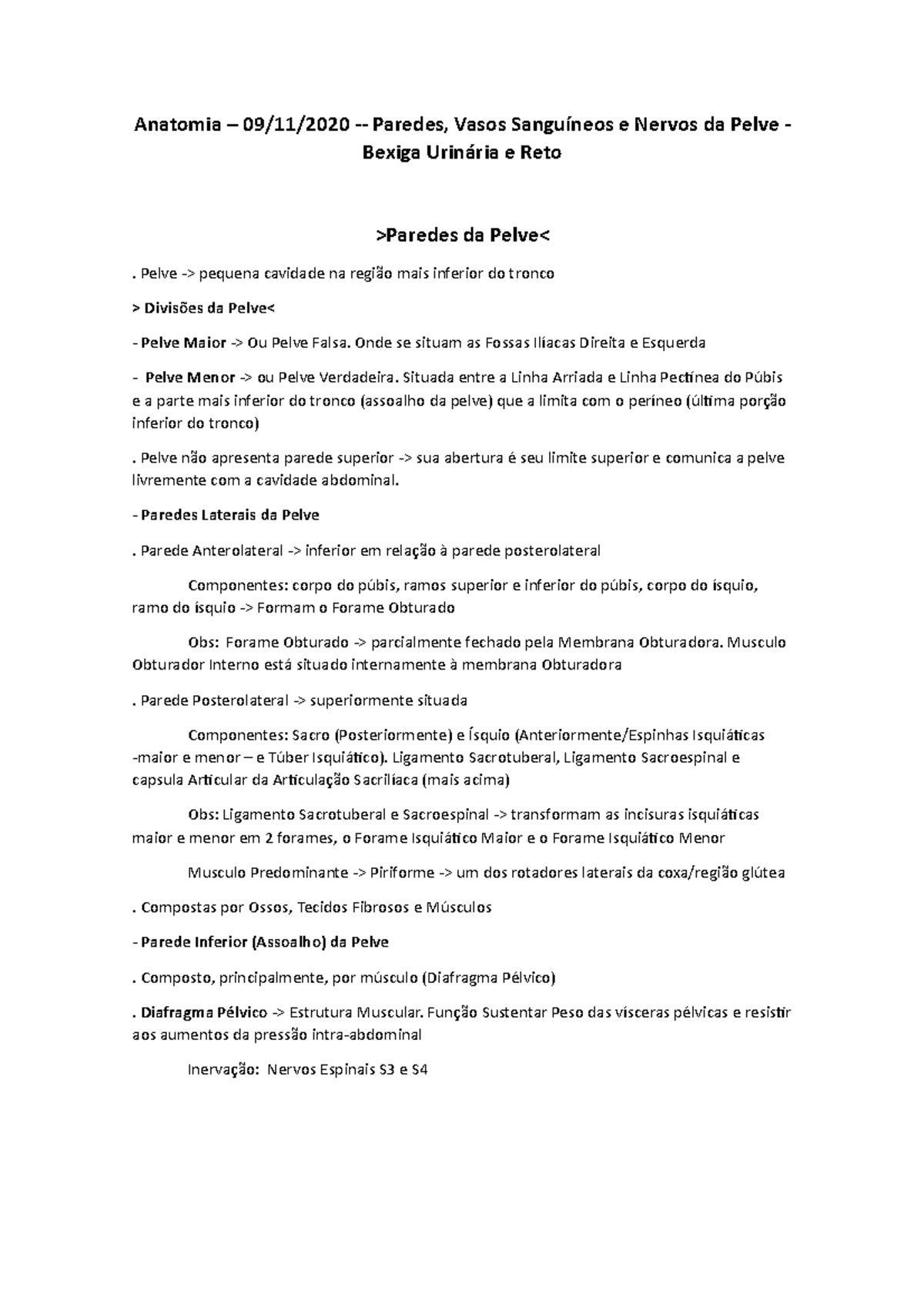 Anato - 09-11-2020 - Paredes, Vasos Sanguíneos e Nervos da Pelve ...
