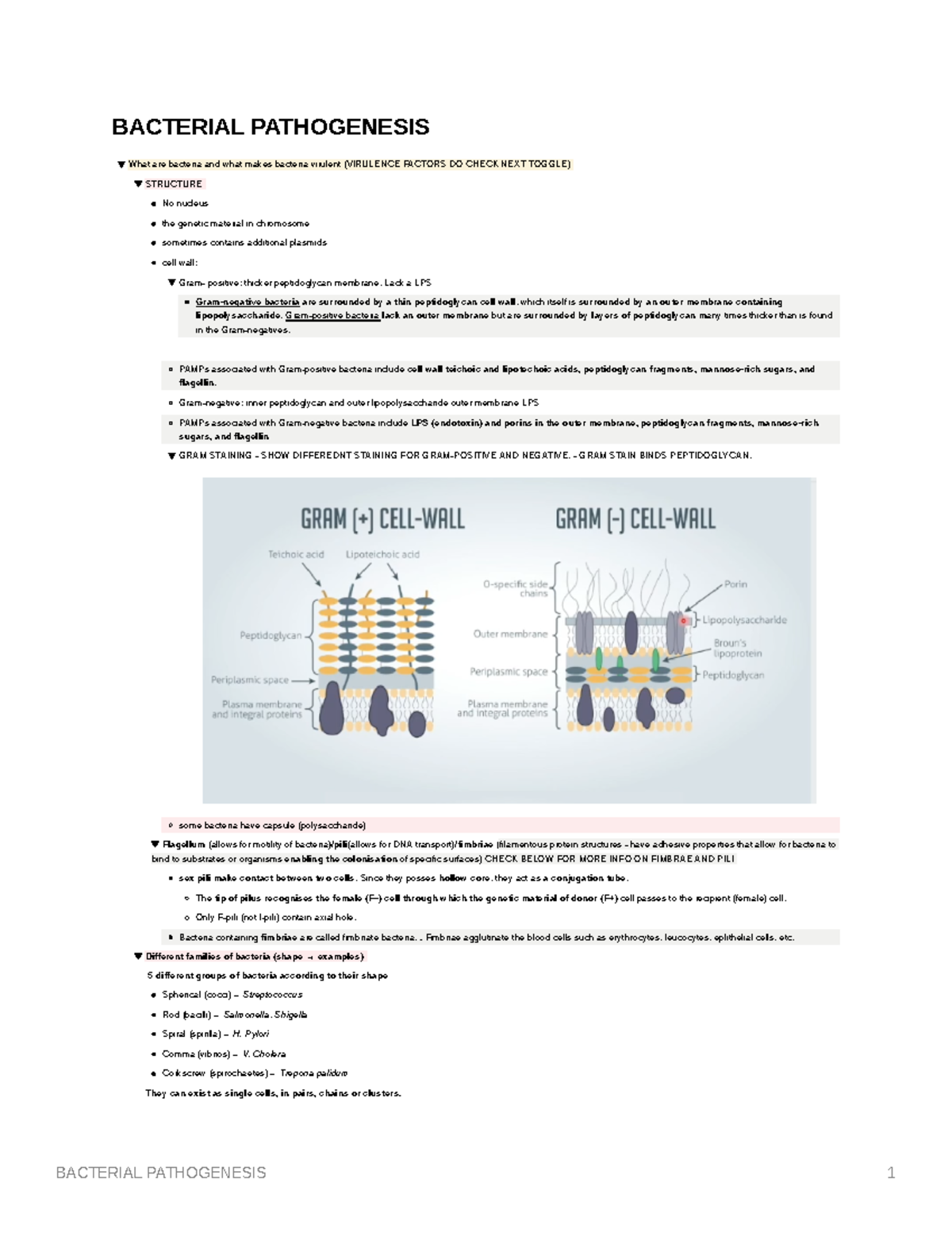 Bacterial Pathogenesis - BACTERIAL PATHOGENESIS What are bacteria and ...