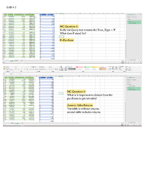 Accounting Analytics Week 10 Lab - LAB 6- MC Questions: What accounts ...