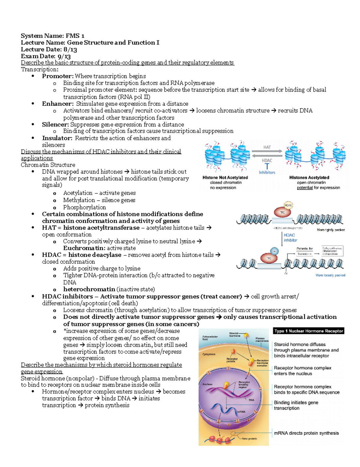 8:13 Gene Structure & Fxn 1 - System Name: FMS 1 Lecture Name: Gene ...
