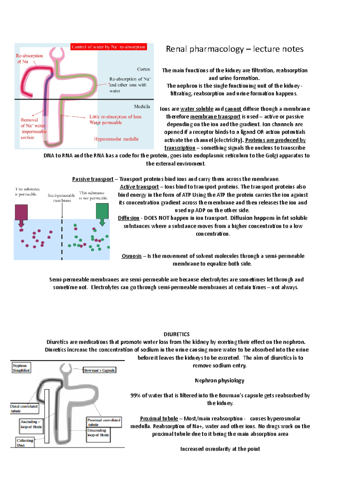 Renal pharmacology - lecture notes - Renal pharmacology – lecture notes ...