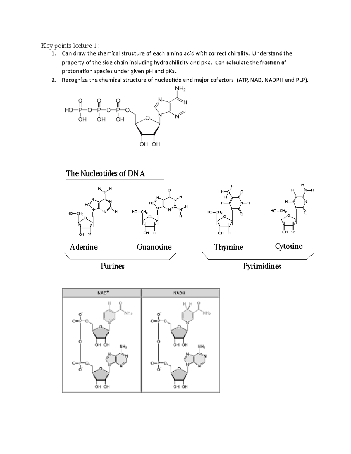 Key points lecture 1 review-update-jan7 - Key points lecture 1: 1. Can ...