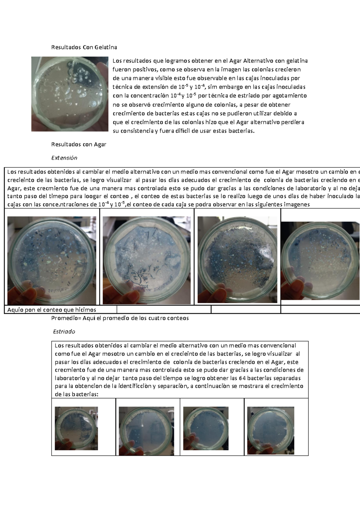 Resultados Con Gelatina - Resultados con Agar Extensión Los resultados ...