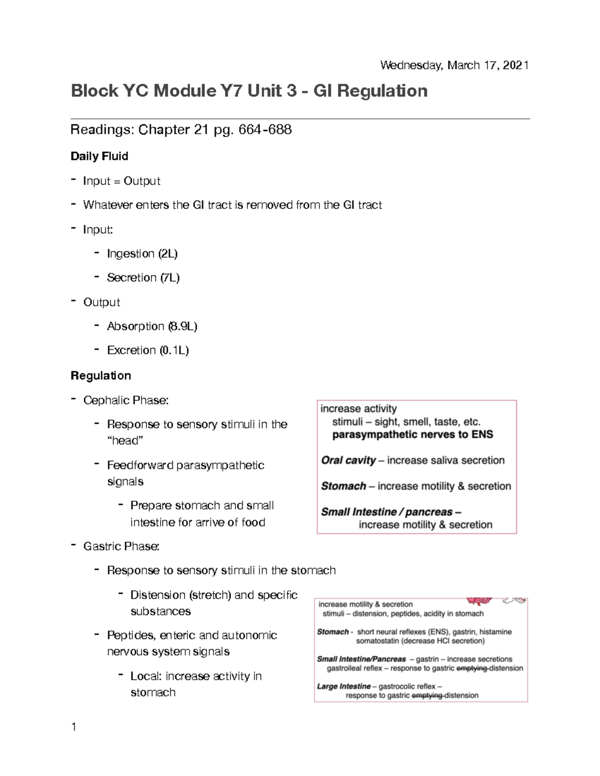 YC Y7 Unit 3 - Lecture notes Block YC - Block YC Module Y7 Unit 3 - GI ...