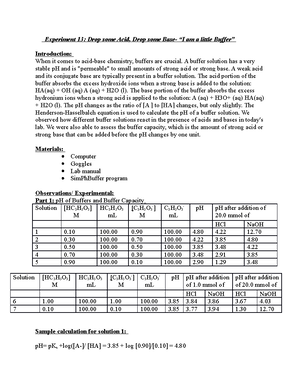 Experiment 17 and 18 hunter college. chem 106 - Experiment 17 ...