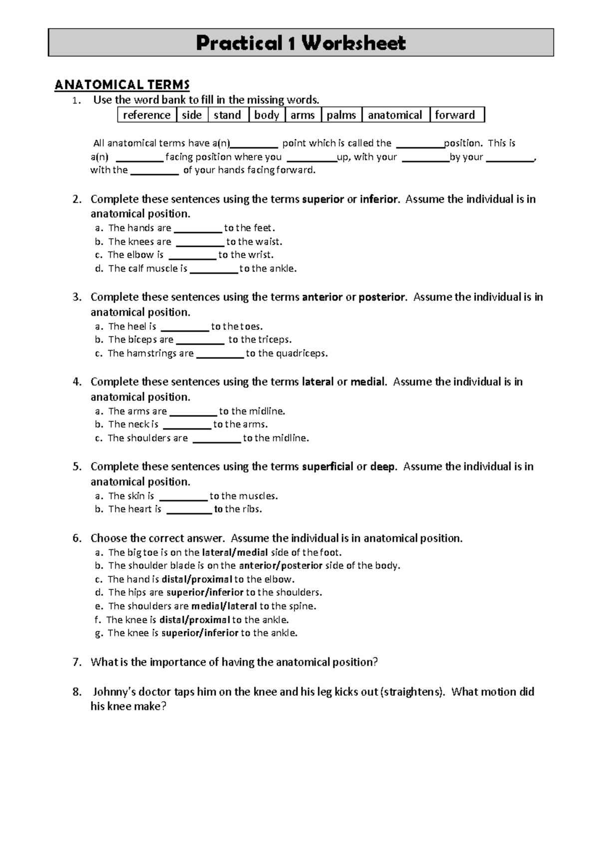 Anatomical Terms Worksheet - Practical 1 Worksheet ANATOMICAL TERMS 1 ...