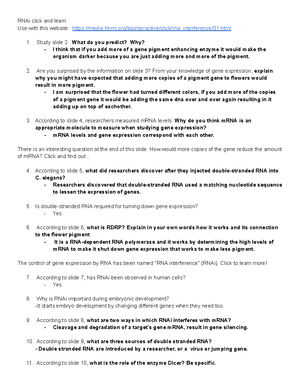 Madi owen-Gene Expression Phet Sim - - Studocu