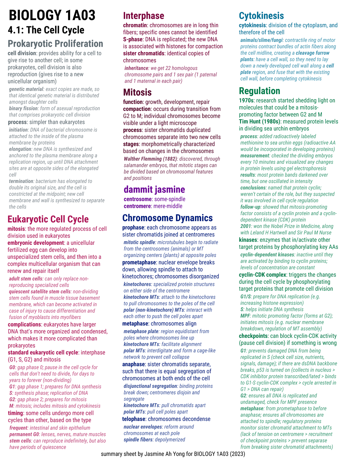Test3 v1 biology 1a03 - notes for the course - 4: The Cell Cycle ...