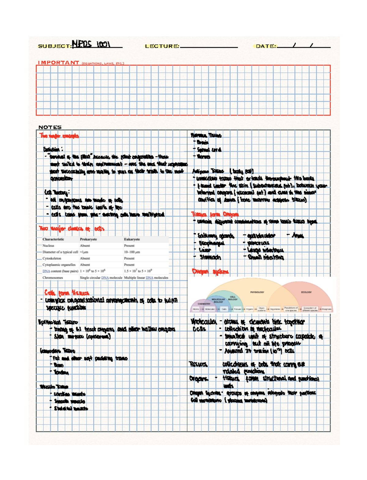 WEEK 1 - Cell structure and function (complexity and ...