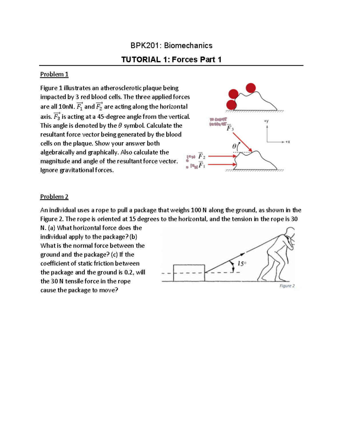 Tutorial 1 - bpk - BPK201: Biomechanics TUTORIAL 1: Forces Part 1 ...