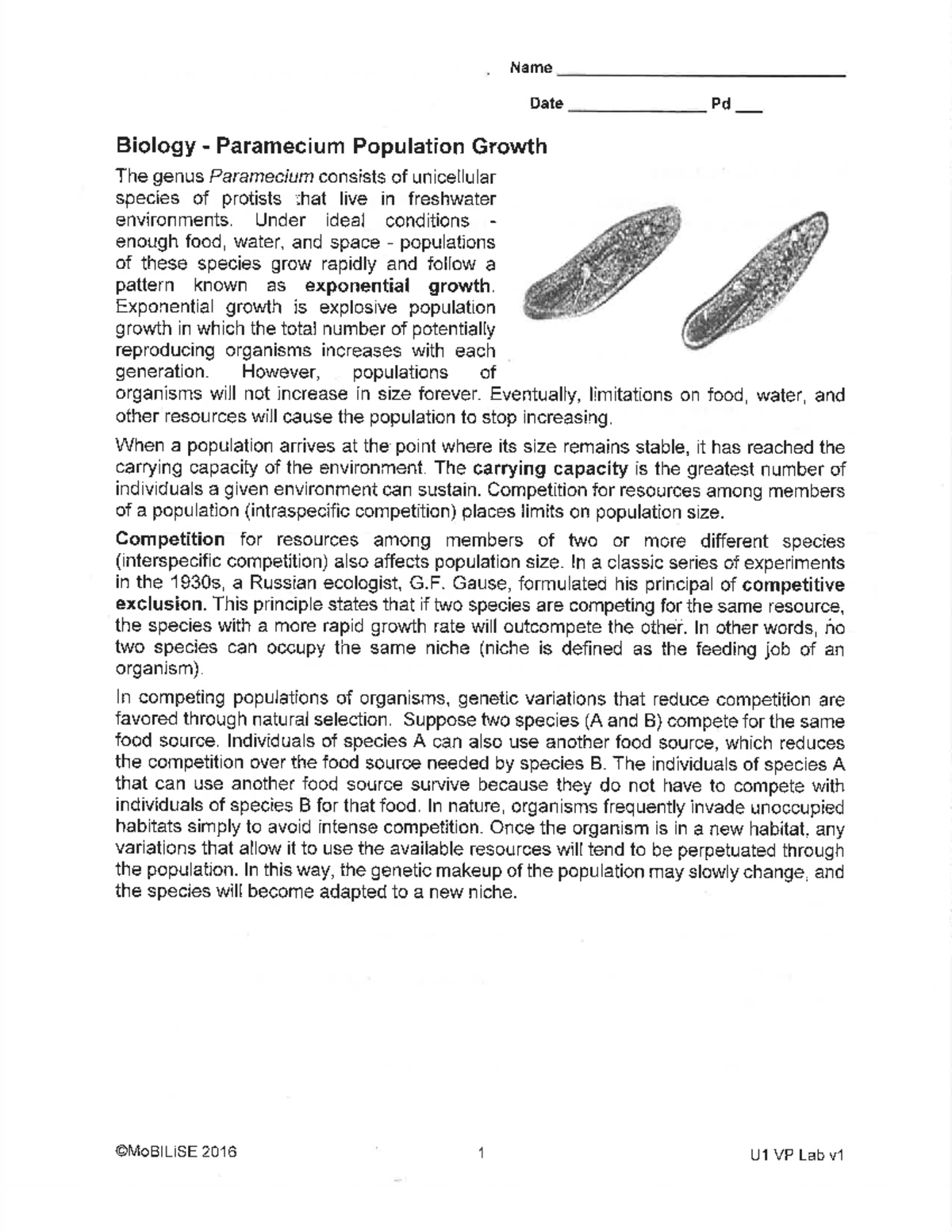 Paramecuim analysis - Paramecium - Studocu