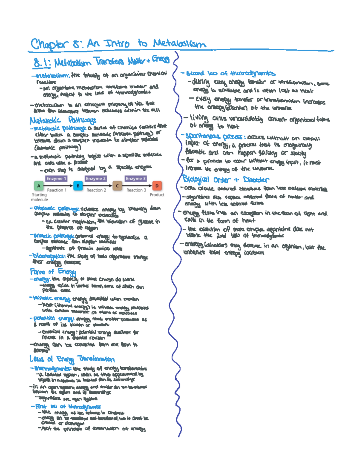 Master Biology Chapter 8 - ####### ChapersiAnIntrotometabolism 81 ...