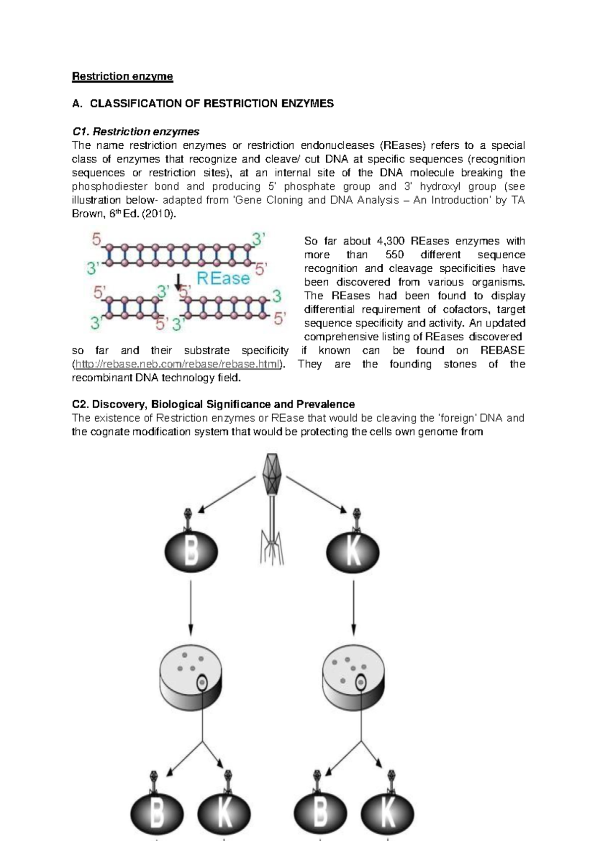 Classification of restriction enzymes. - Restriction enzyme A ...