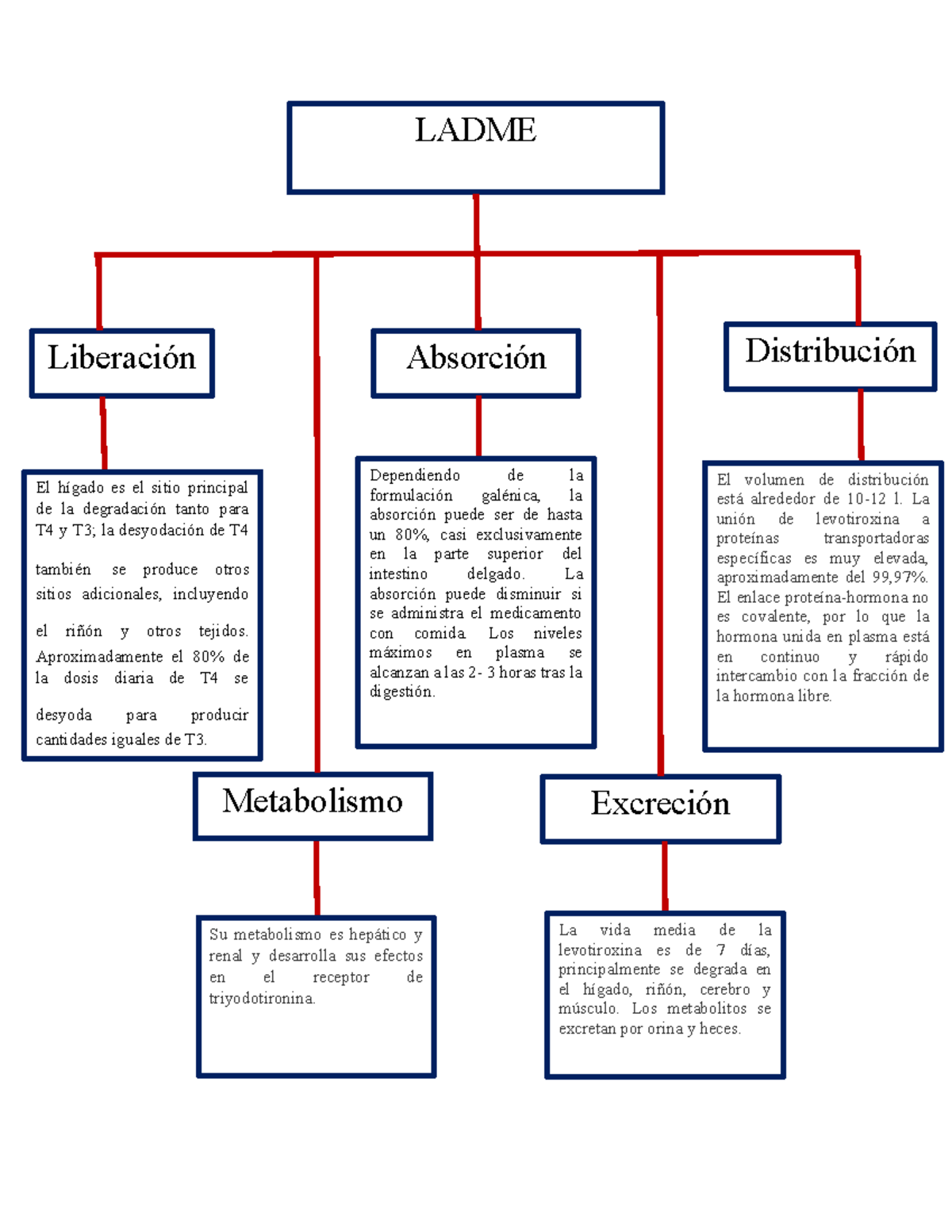 Ladme levotiroxina 1 - LADME Metabolismo Excreción Liberación Absorción ...