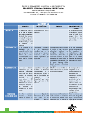 Matriz de organización conceptual sobre salud mental. AA1-EV01 ...