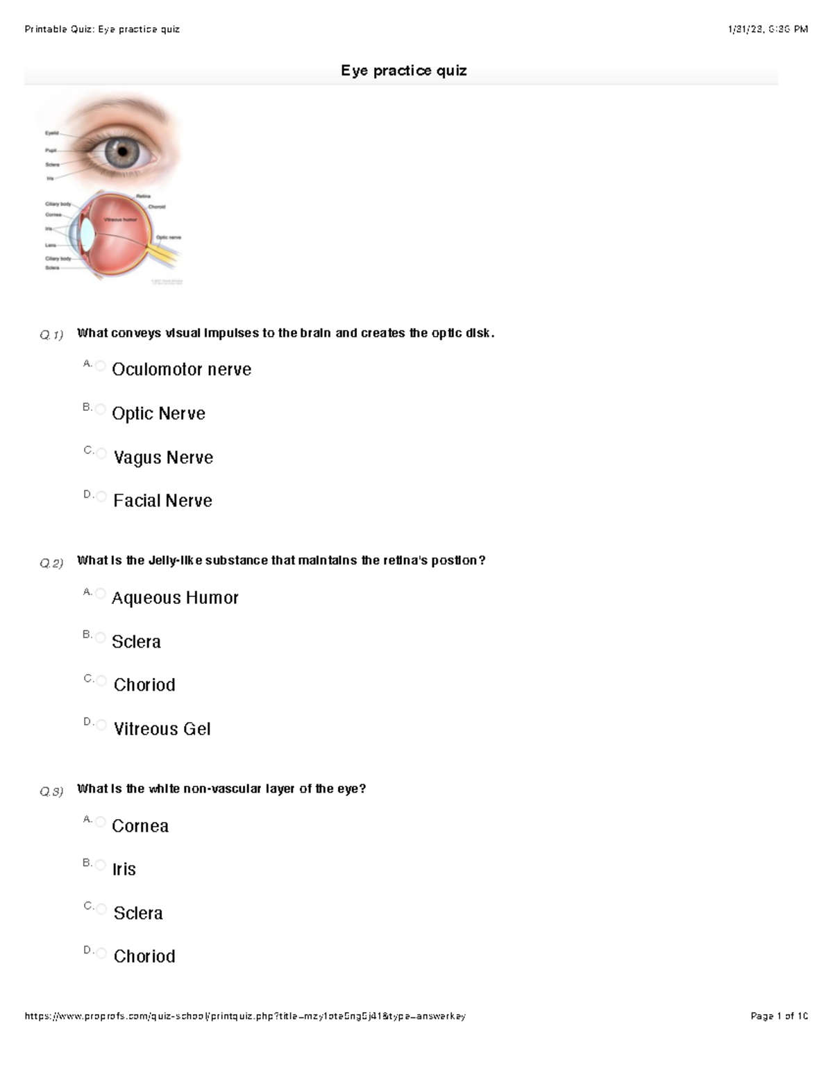 Eye practice quiz - Q) What conveys visual impulses to the brain and ...