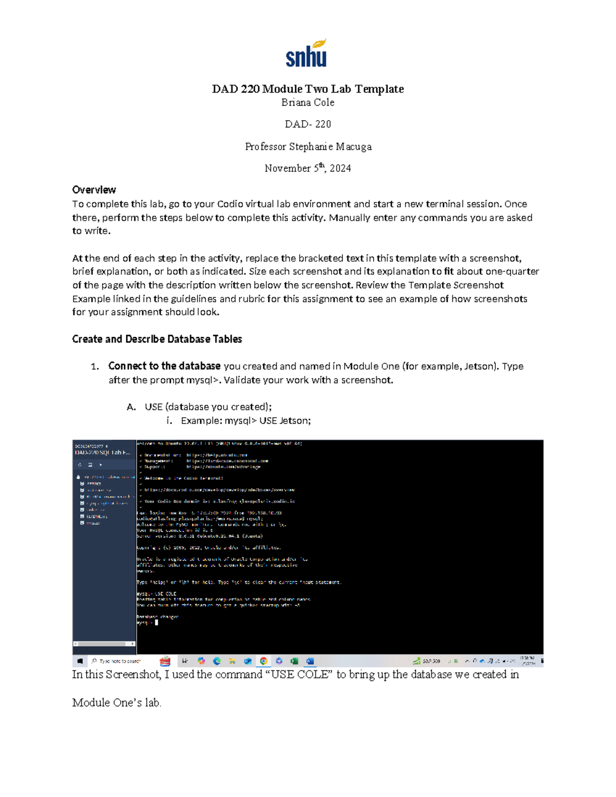 DAD 220 Module Two Lab - DAD 220 Module Two Lab Template Briana Cole ...