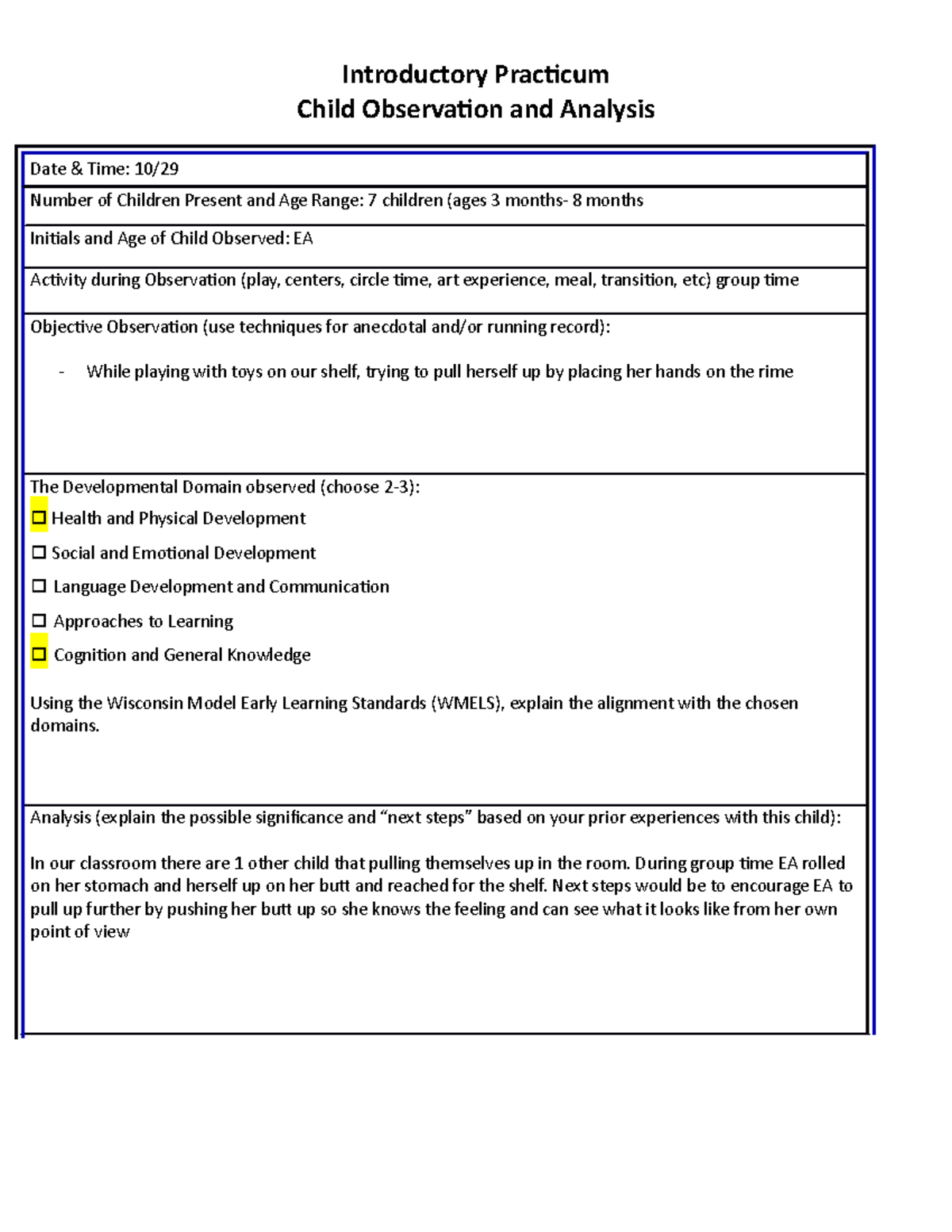 Child Observation Form 5 - Introductory Practicum Child Observation and ...
