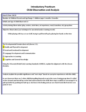 Child Observation Form 1 revised - Introductory Practicum Child ...