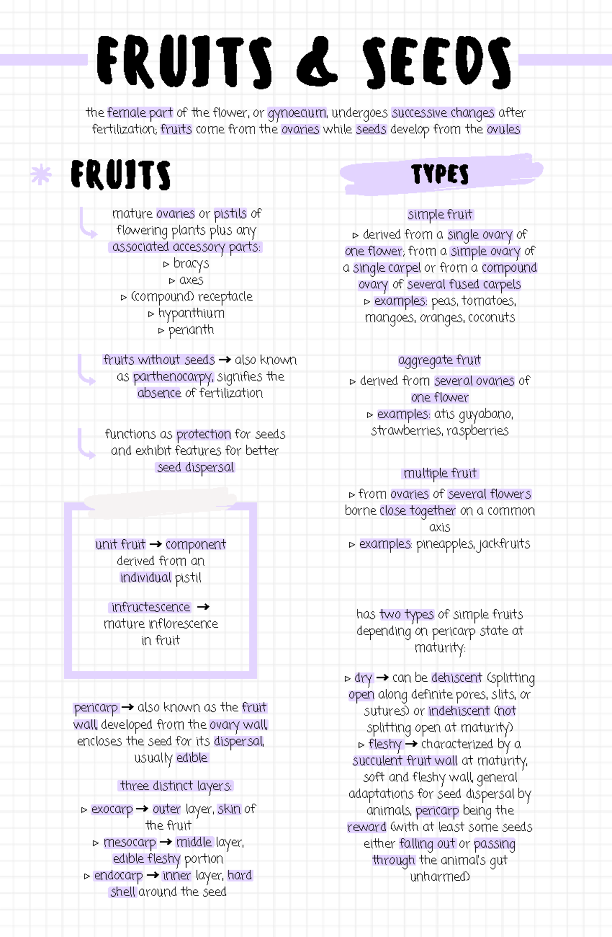 General Biology: Fruits-seeds - Bs Biology - DLSU - Studocu