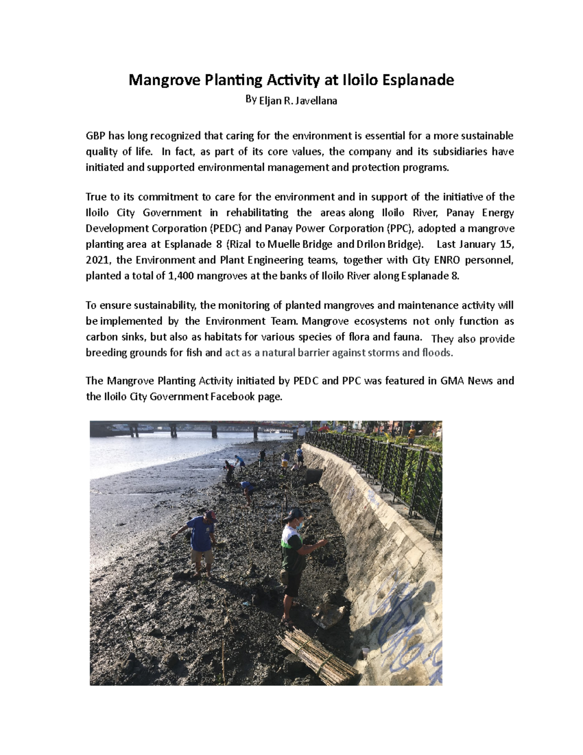 JLBU V2-Mangrove Planting Activity at Iloilo Esplanade - Mangrove ...