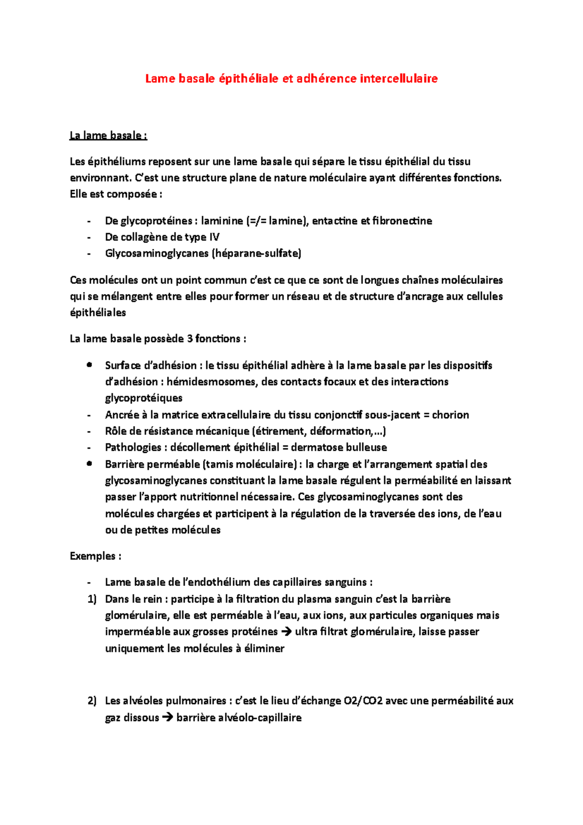 Lame basale épithéliale et adhérence intercellulaire - Lame basale ...