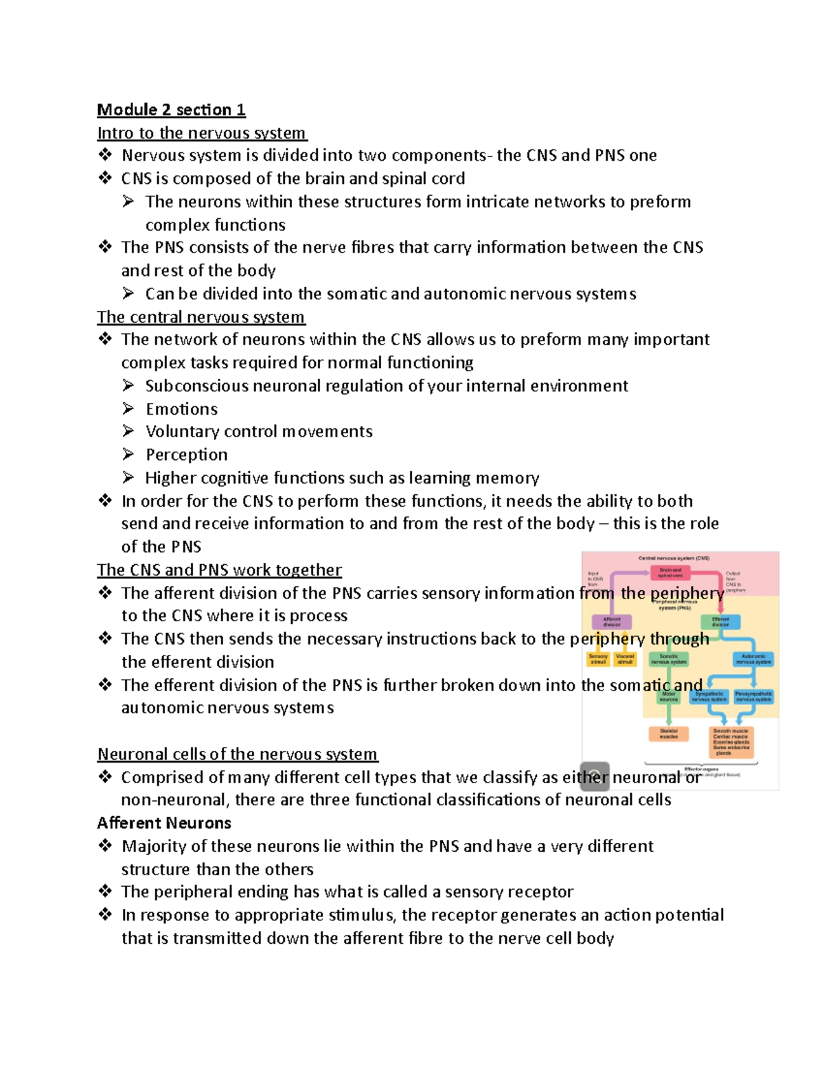 Module 2 section 1 - Module 2 section 1 Intro to the nervous system ...