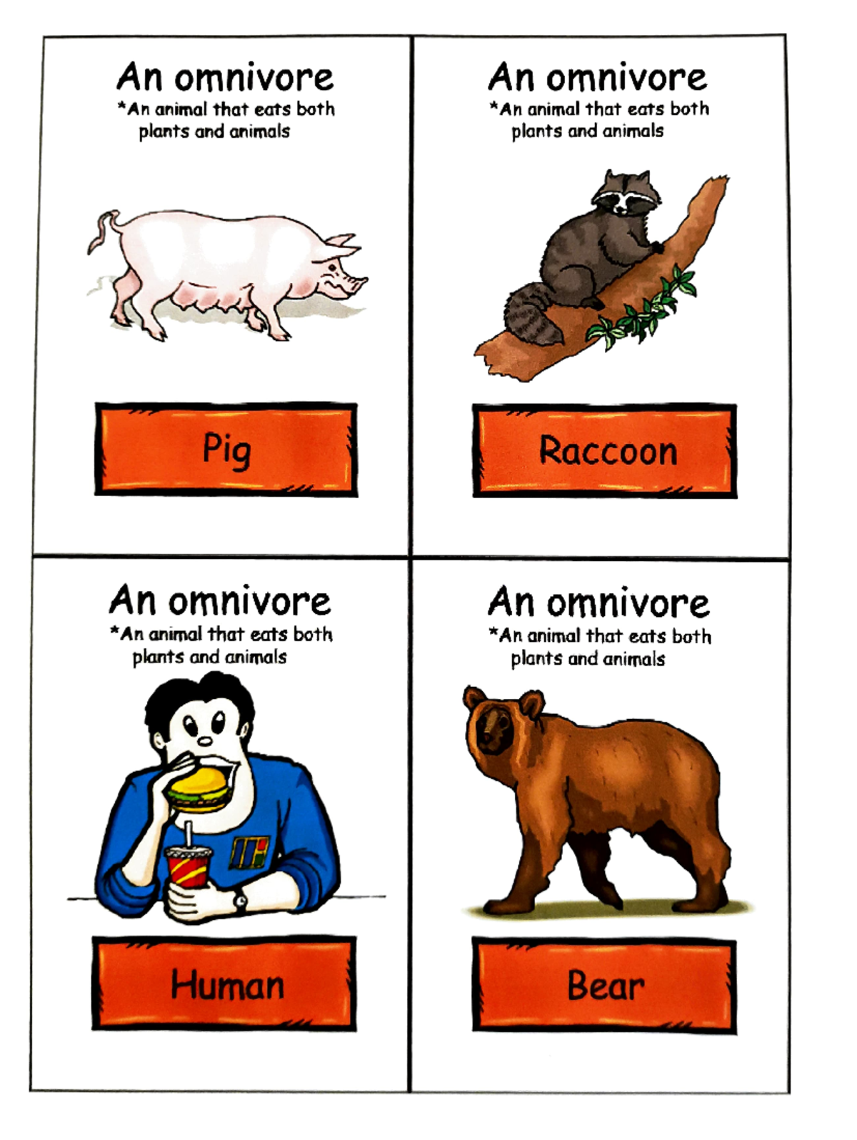 Visuals - tefl - ####### An omnivore An omnivore *An animal that eats ...