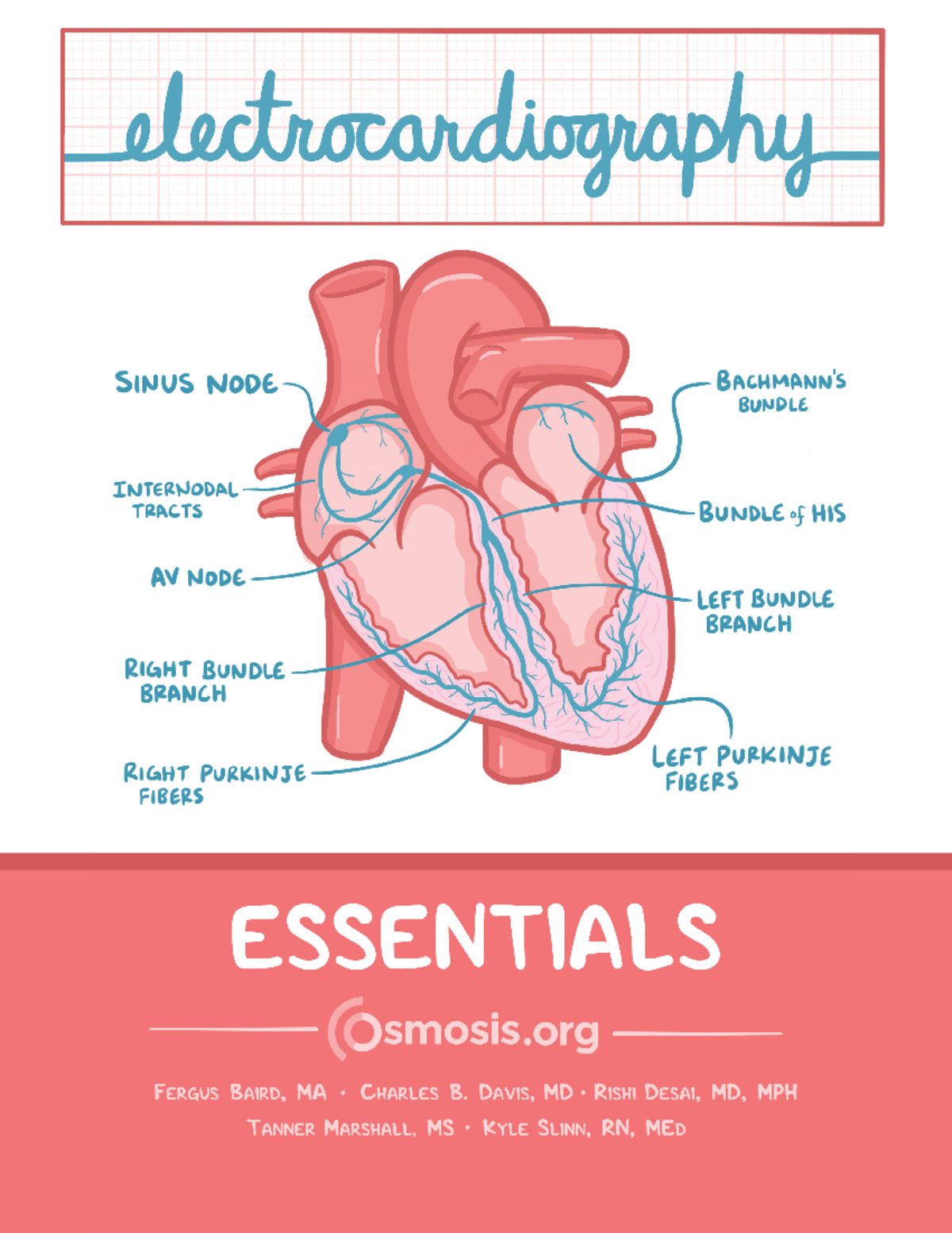 Electrocardiogram - ELECTROCARDIOGRAPHY ESSENTIALS ####### Edition: 1 ...
