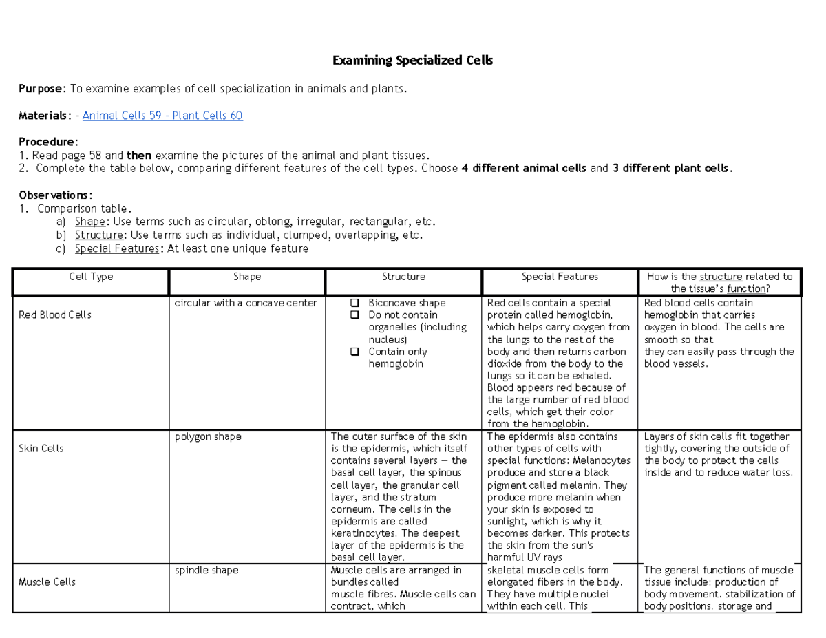05 - Examining Specialized Cells - Examining Specialized Cells Purpose: To examine examples of ...