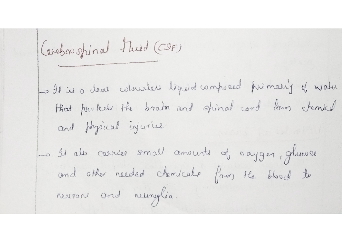 Csf It Gives A Lecture Note Of Csf Which Is Cerebro Spinal Fliud