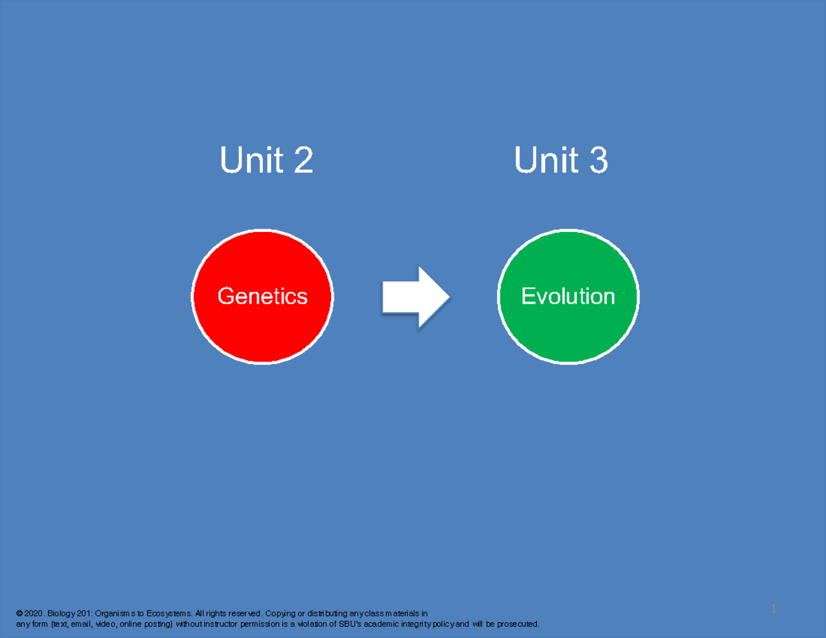 S21 Unit 3 Lecture 1 v2 - 1 Genetics Unit 2 Unit 3 Evolution Lecture 1: Variation: Pattern and ...