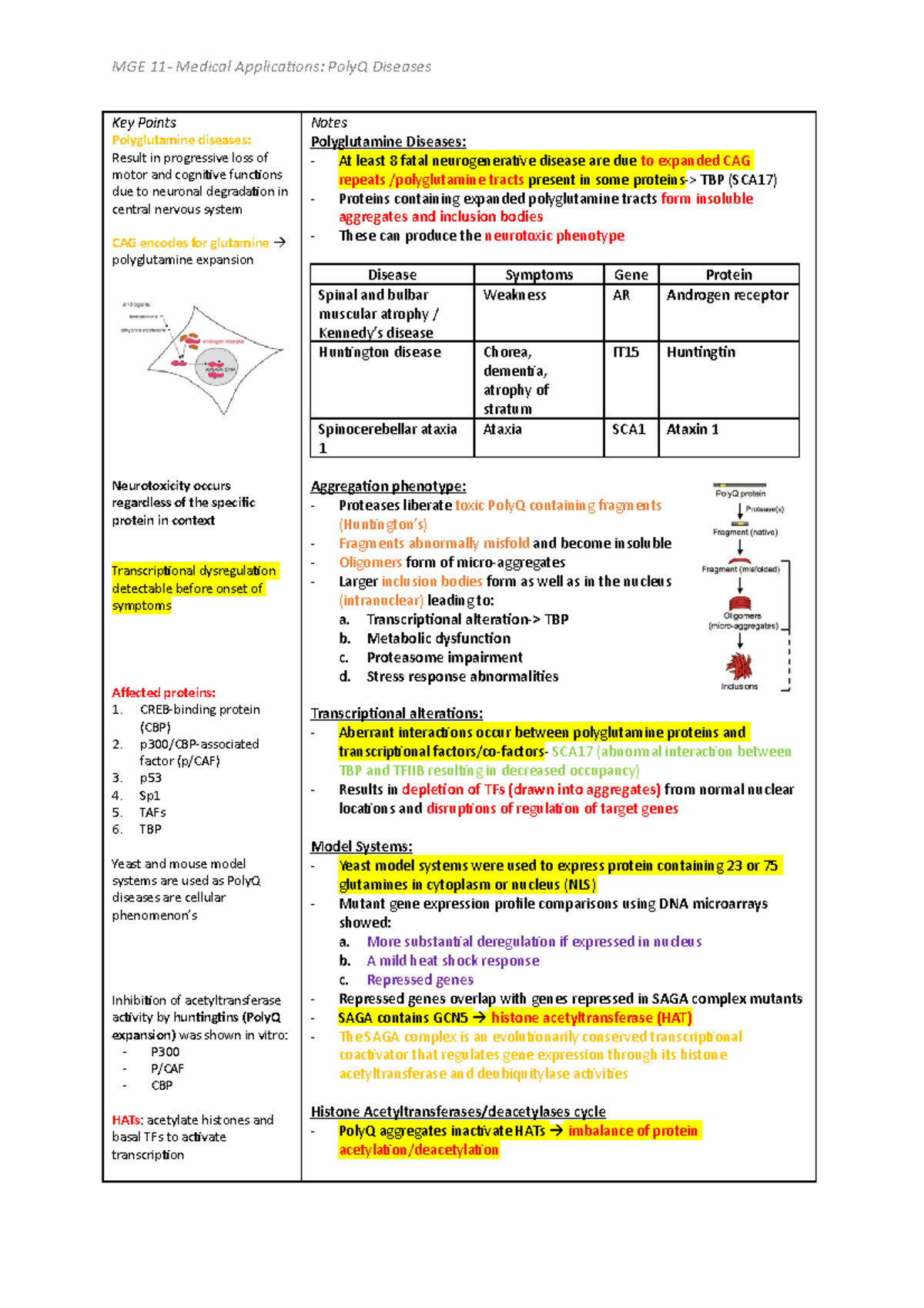 Poly Q Diseases - MGE 11- Medical Applications: PolyQ Diseases Key ...