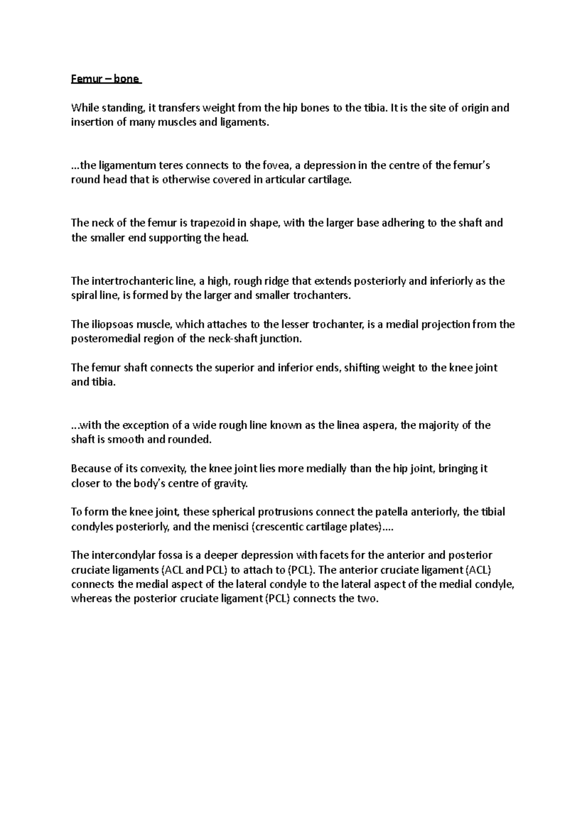 Femur - anatomy notes from biomedical science - Femur – bone While ...