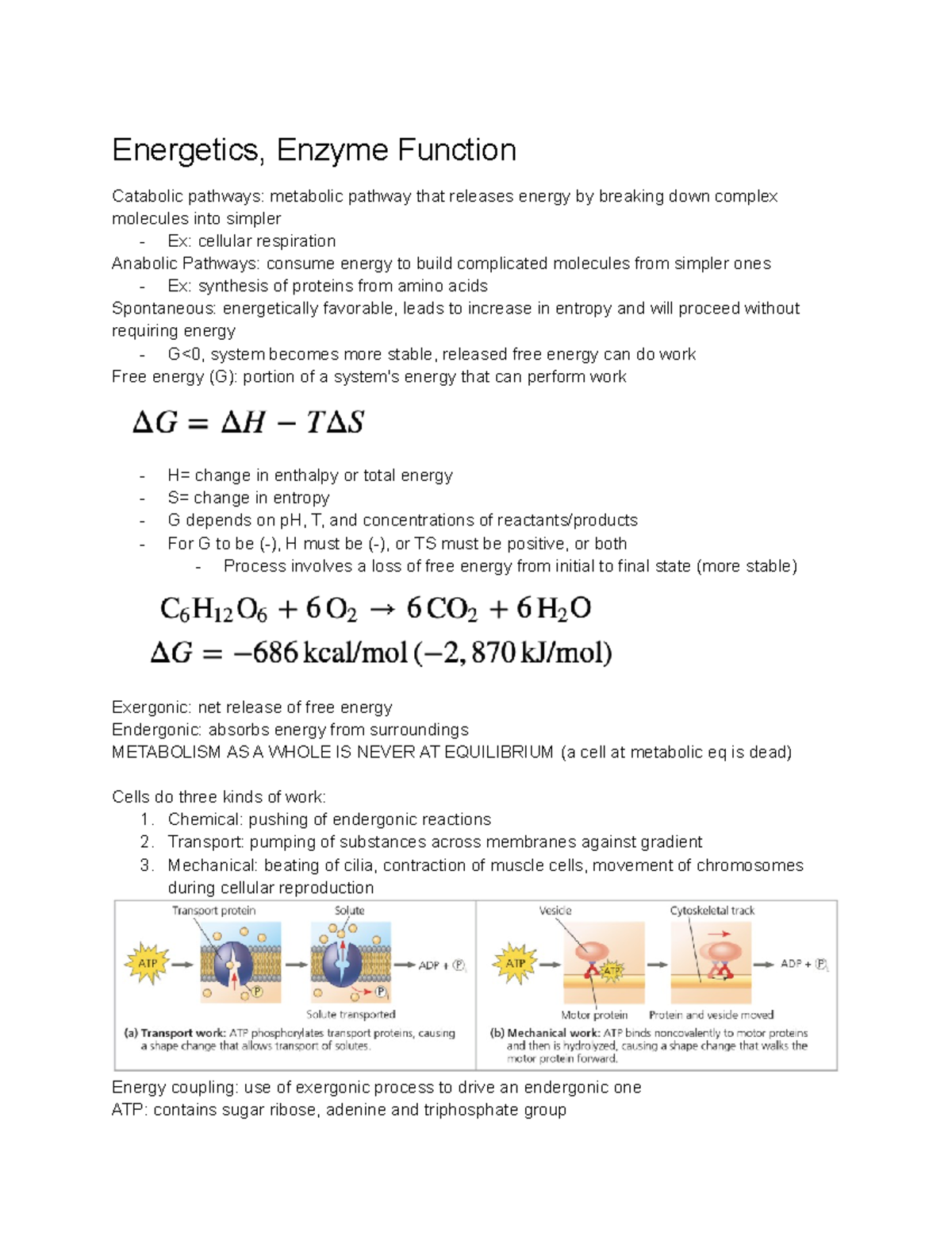 Bio Exam 2 Study Guide - Energetics, Enzyme Function Catabolic pathways ...