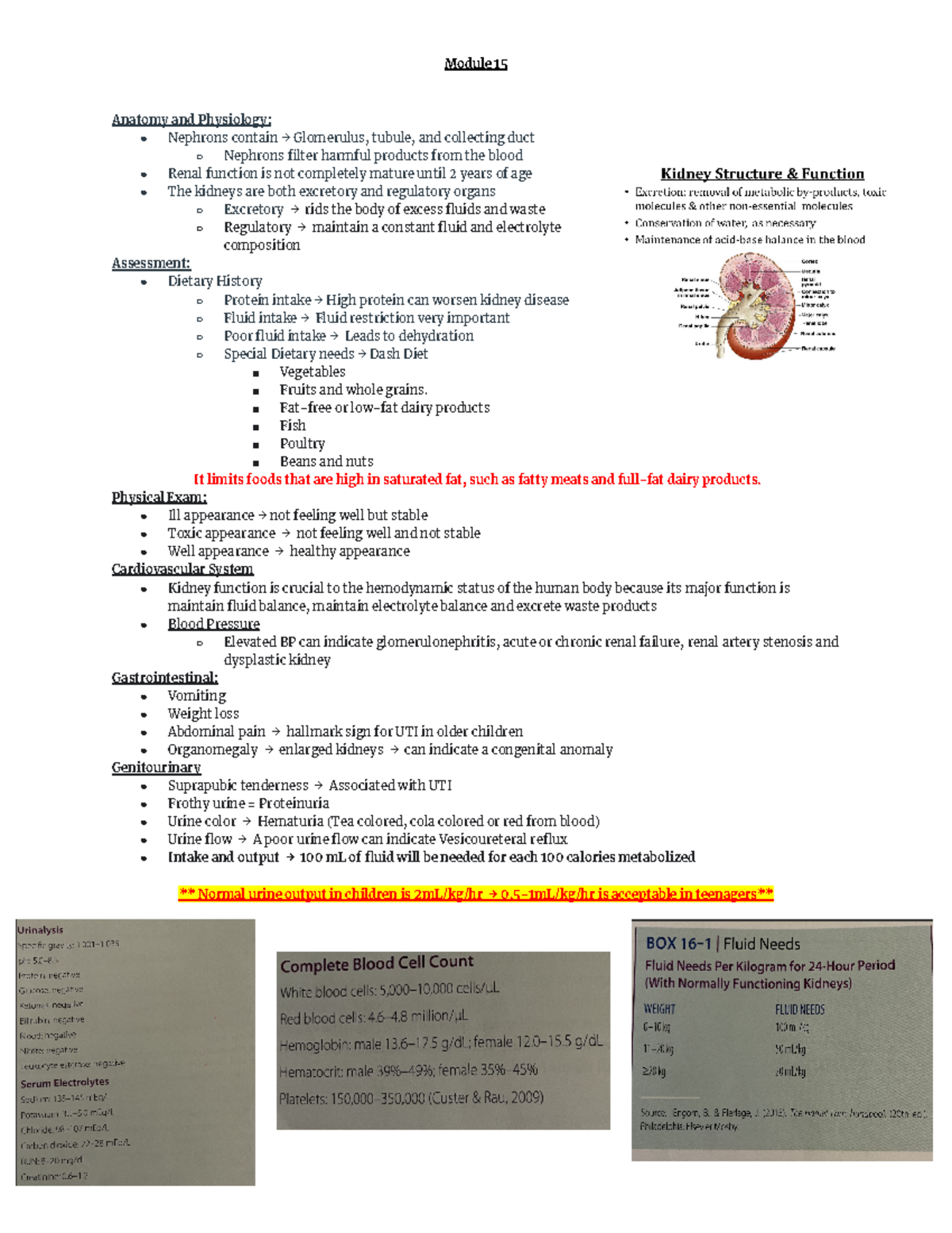 Module 15 (Renal) - Anatomy and Physiology: Nephrons contain → ...