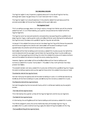 Given below are the basic functions of Microsoft Word - Editing and Formatting the existing ...