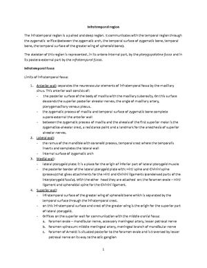 Mental region - Anatomy - Mental region It is a median region of the ...