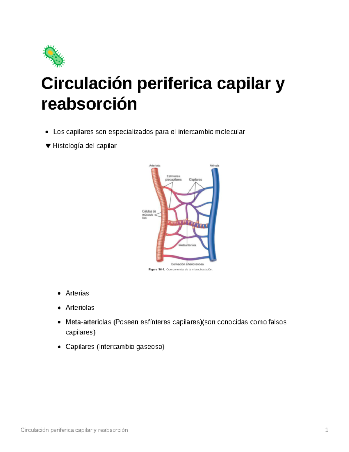 Cap 16 Guyton Circulacin periferica capilar y reabsorcin - Î ...