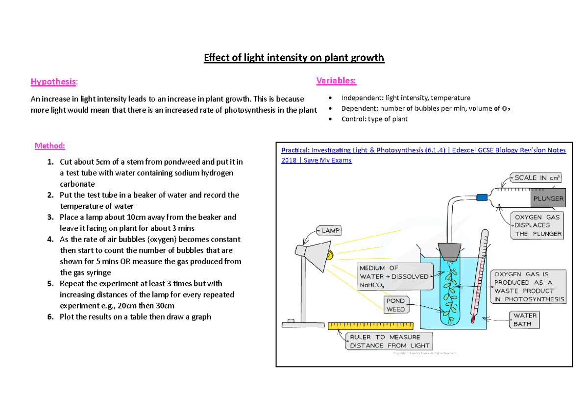 Factors affecting plant growth - Effect of light intensity on plant ...