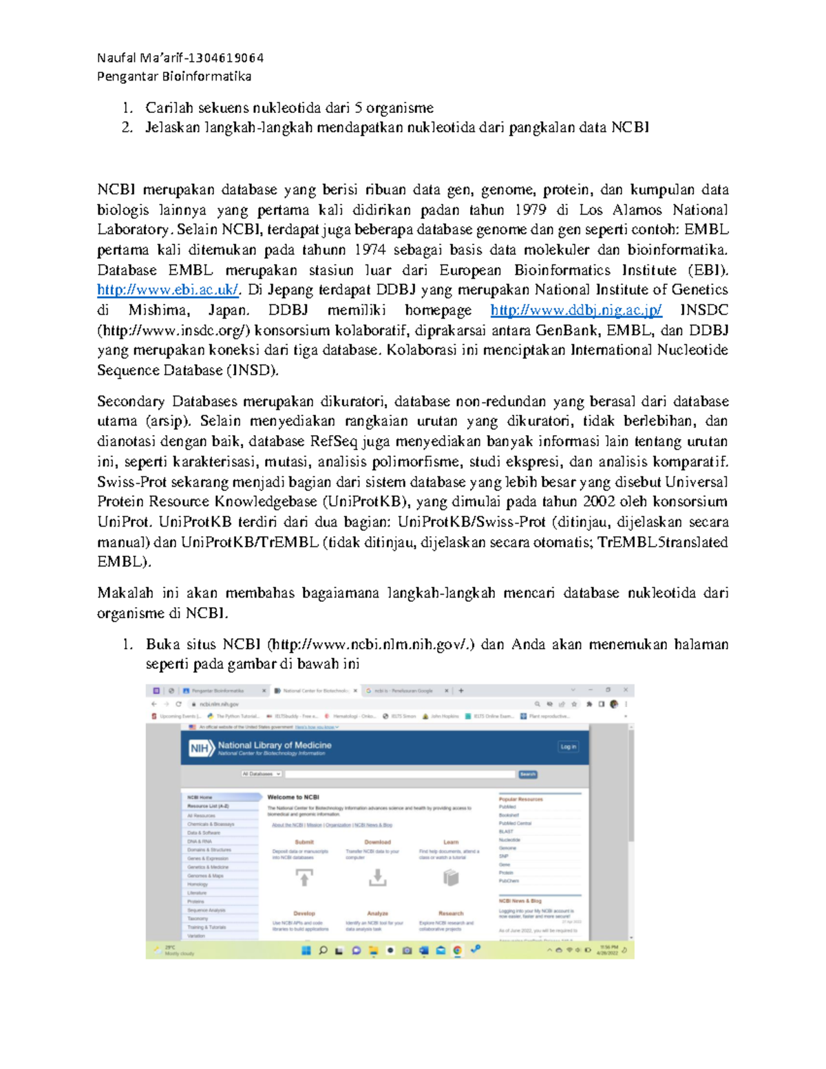 Naufal Ma'arif Sekuens DNA dari NCBI - Pengantar Bioinformatika Carilah sekuens nukleotida dari ...