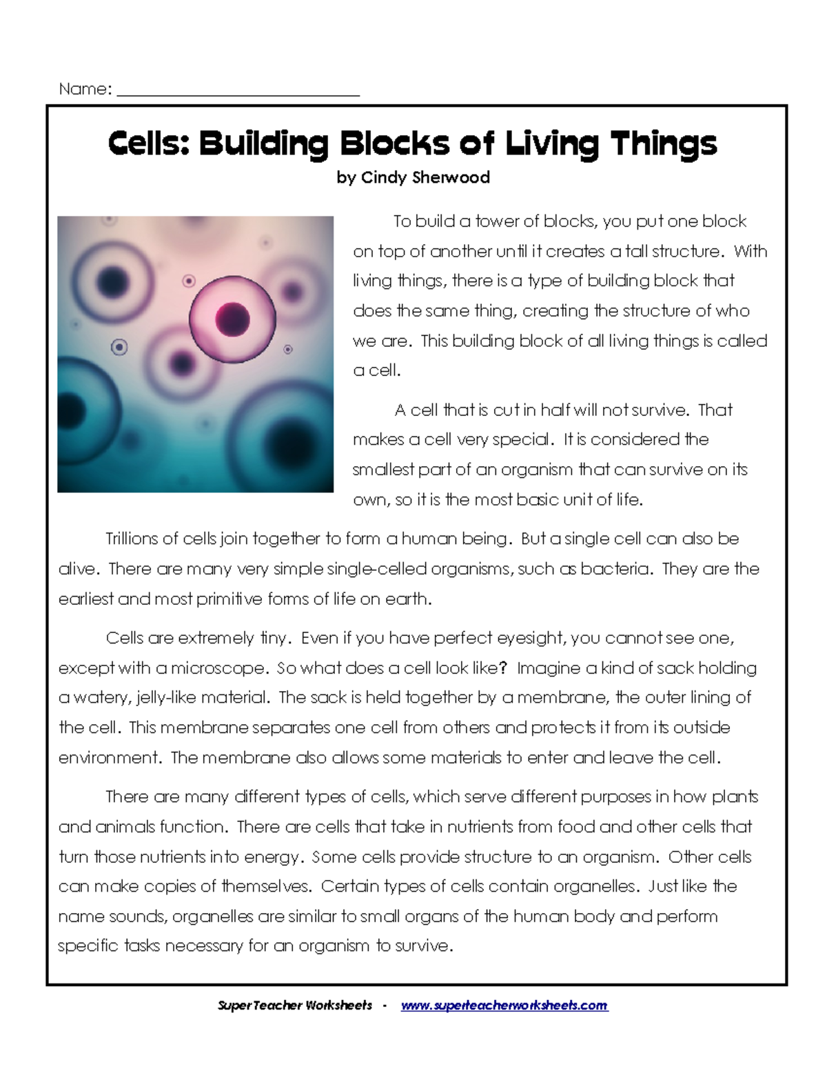 Kami Export - William Beltran - Cell-Reading-and-Worksheets - Cells ...